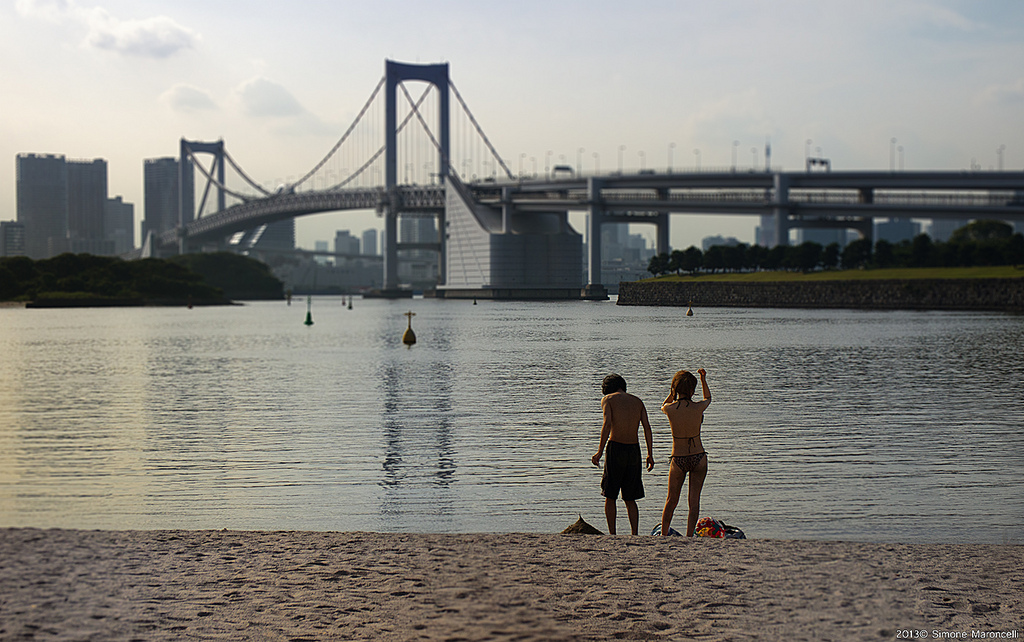 Tokyo Bay: A Nice Place to Visit, But You Wouldn’t Want to Swim There ...